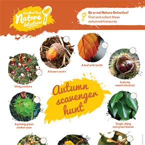 Tree Tools for Schools - Woodland Trust