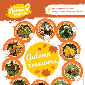 Tree Tools for Schools - Woodland Trust