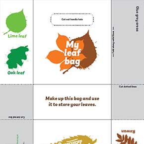 Tree Tools for Schools - Woodland Trust