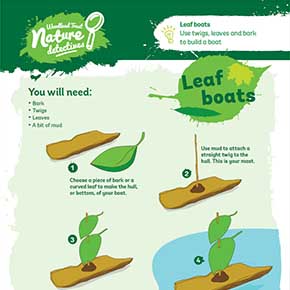 Tree Tools for Schools - Woodland Trust