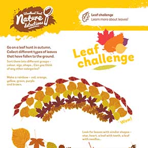 Tree Tools for Schools - Woodland Trust