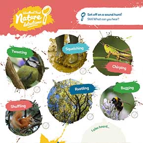 Tree Tools for Schools - Woodland Trust