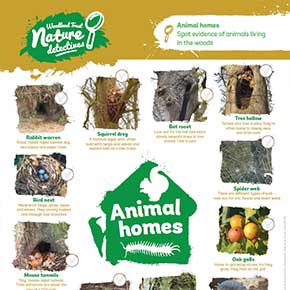 Tree Tools for Schools - Woodland Trust