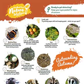 Tree Tools for Schools - Woodland Trust