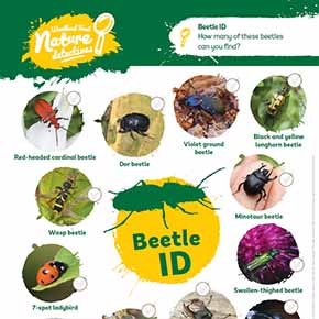 Tree Tools for Schools - Woodland Trust