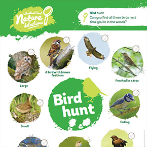 Tree Tools for Schools - Woodland Trust