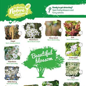 Tree Tools for Schools - Woodland Trust