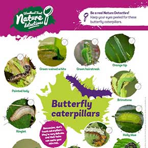 Tree Tools for Schools - Woodland Trust