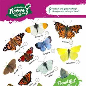 Tree Tools for Schools - Woodland Trust