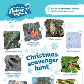 Tree Tools for Schools - Woodland Trust