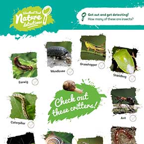 Tree Tools for Schools - Woodland Trust