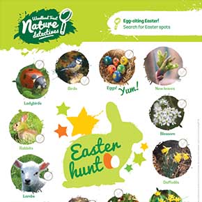 Tree Tools for Schools - Woodland Trust