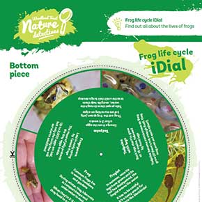 Tree Tools for Schools - Woodland Trust