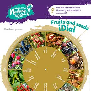 Tree Tools for Schools - Woodland Trust
