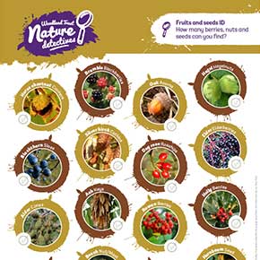 Tree Tools for Schools - Woodland Trust