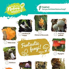 Tree Tools for Schools - Woodland Trust