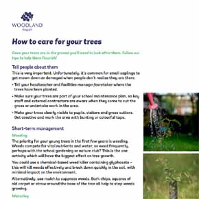 Tree Tools for Schools - Woodland Trust