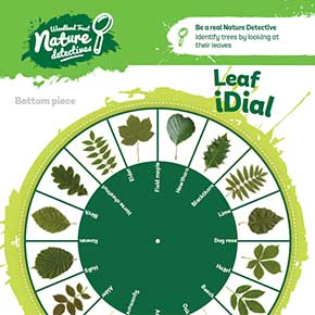 Tree Tools for Schools - Woodland Trust