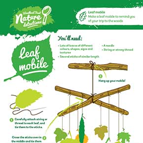 Tree Tools for Schools - Woodland Trust