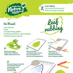 Tree Tools for Schools - Woodland Trust