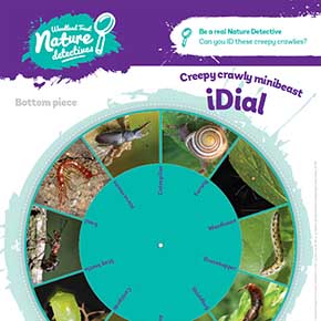 Tree Tools for Schools - Woodland Trust