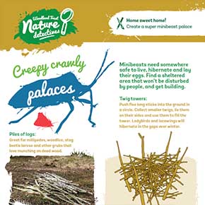 Tree Tools for Schools - Woodland Trust