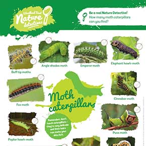 Tree Tools for Schools - Woodland Trust