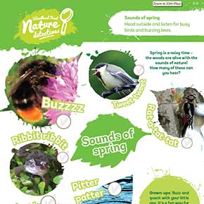 Tree Tools for Schools - Woodland Trust