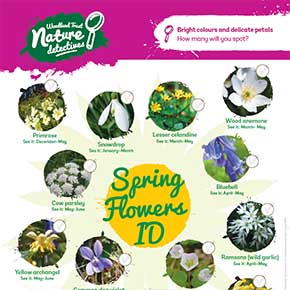 Tree Tools for Schools - Woodland Trust