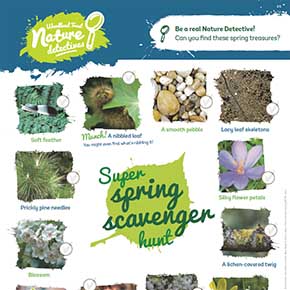 Tree Tools for Schools - Woodland Trust