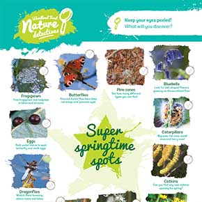 Tree Tools for Schools - Woodland Trust