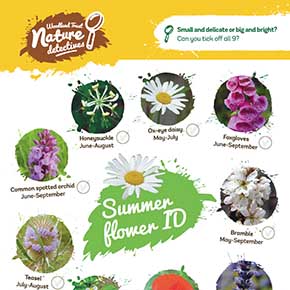 Tree Tools for Schools - Woodland Trust