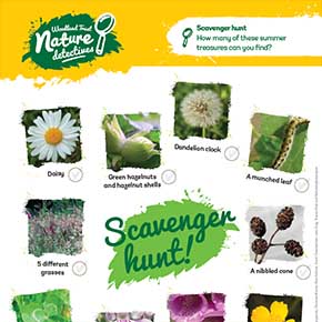 Tree Tools for Schools - Woodland Trust