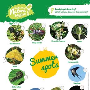 Tree Tools for Schools - Woodland Trust