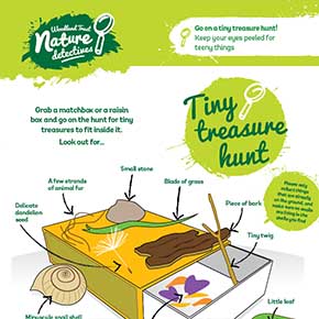 Tree Tools for Schools - Woodland Trust