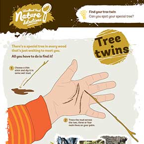 Tree Tools for Schools - Woodland Trust