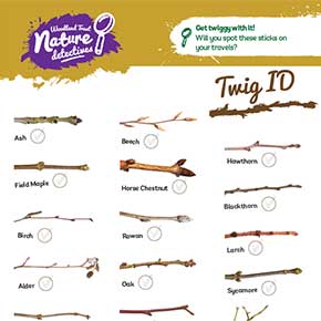 Tree Tools for Schools - Woodland Trust