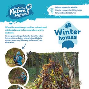 Tree Tools for Schools - Woodland Trust