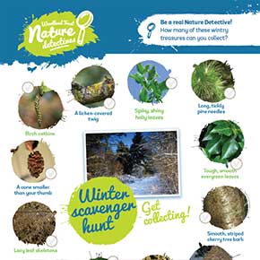 Tree Tools for Schools - Woodland Trust