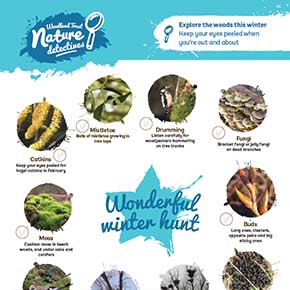 Tree Tools for Schools - Woodland Trust