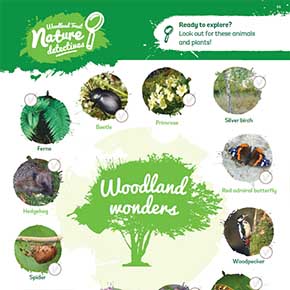Tree Tools for Schools - Woodland Trust