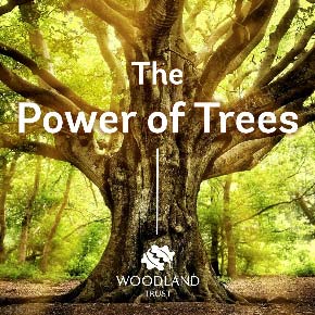 Tree Tools for Schools - Woodland Trust