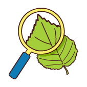 Tree Tools for Schools - Woodland Trust